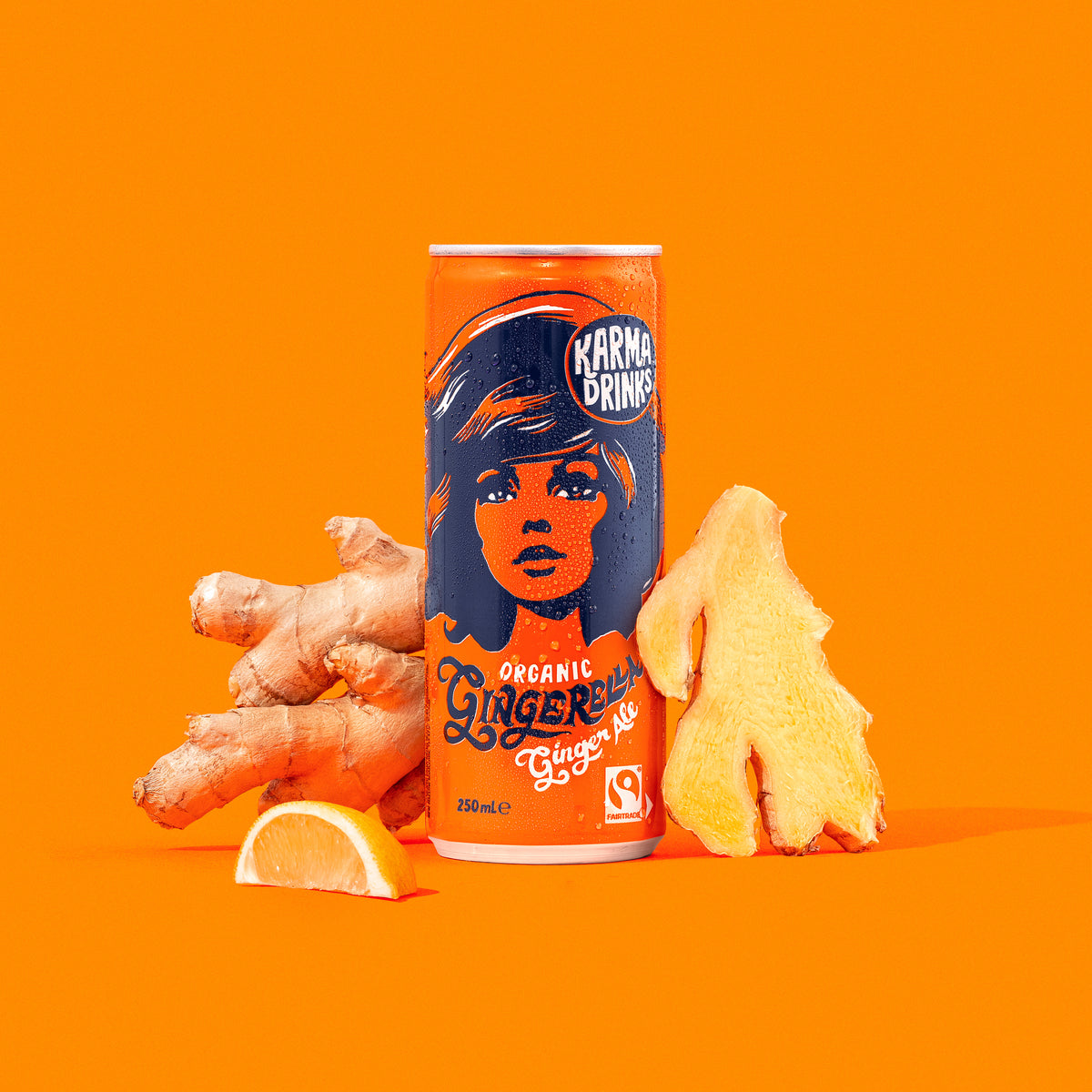 Gingerella Ginger Ale [24 Cans] | Karma Drinks UK